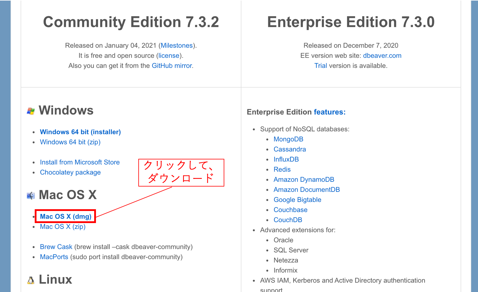 【Db2】DBeaverでDb2（IBM Cloud）に接続 - GRAB PROGRAMMING